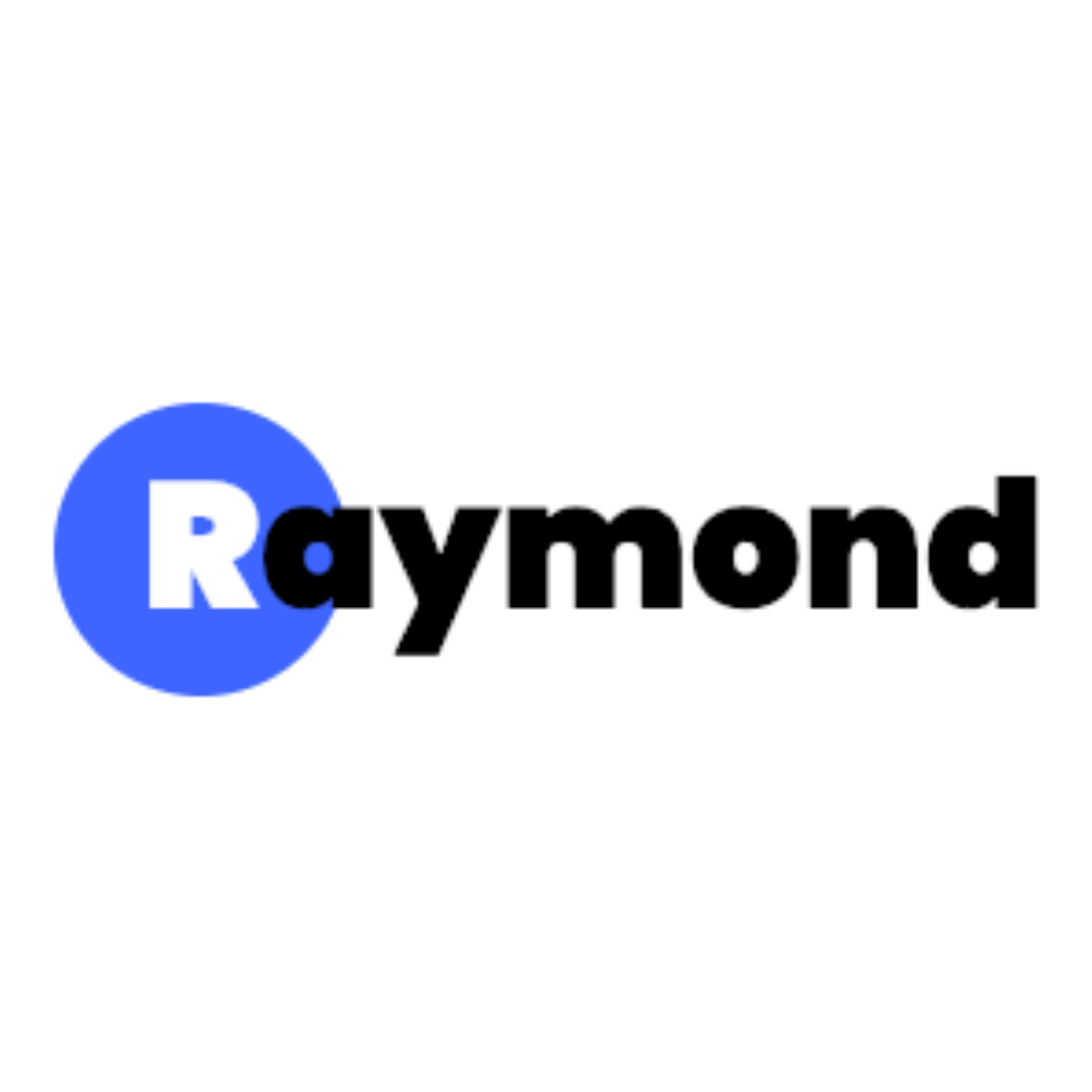 Raymond's Portfolio